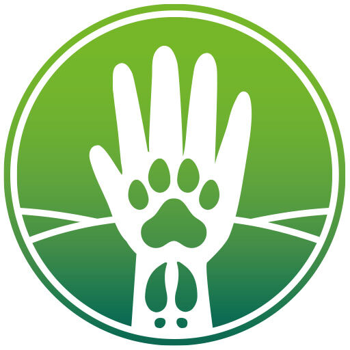 Zoothérapie, Le Mas de Scott - Le Bien-Être par l'Animal